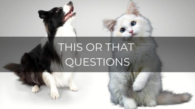 120 Fun What If Questions To Ignite Your Conversation + Game