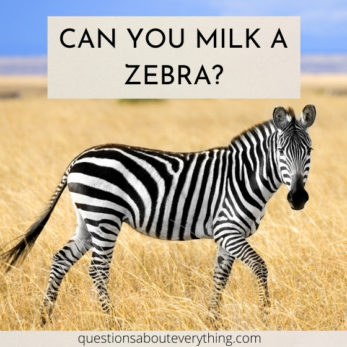 120 Hardest Questions To Answer