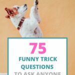 75 Confusing and Funny Trick Questions To Ask Anyone