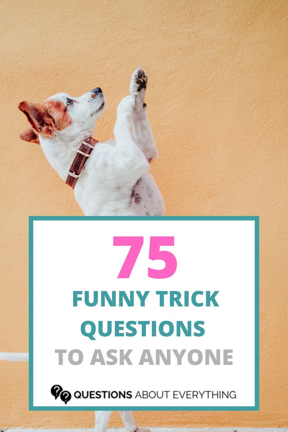 75 Confusing and Funny Trick Questions To Ask Anyone